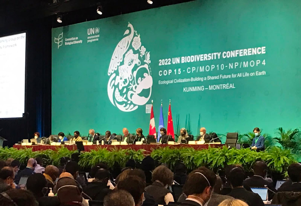 Nuevo acuerdo de protección a la biodiversidad en la COP15