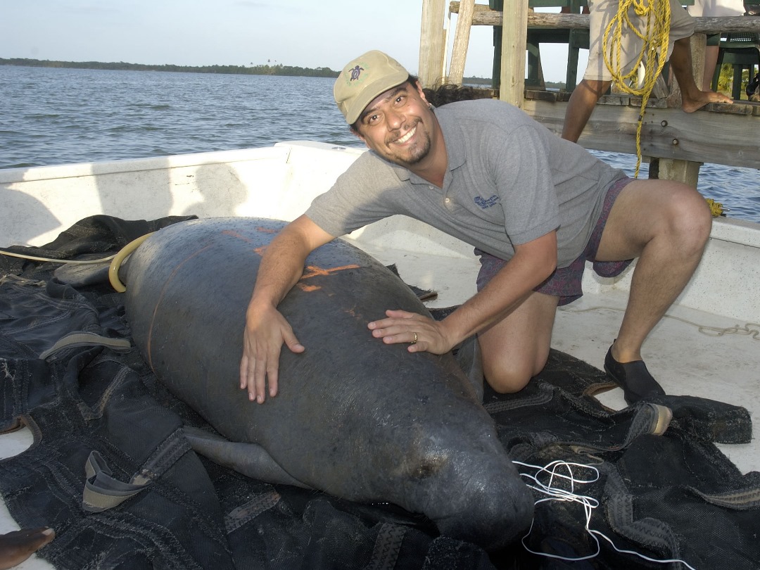 Revista Science destaca investigación del científico venezolano Jon Paul Rodríguez - Yvke ...
