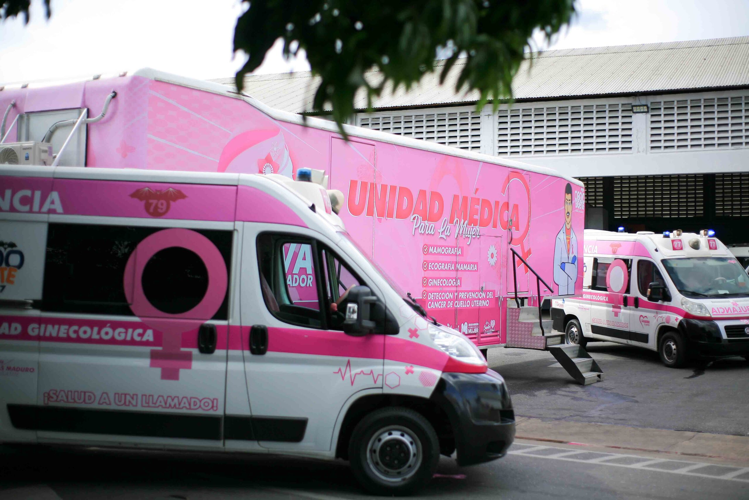 La Ruta Rosa de 0800-Bigote recorre Carabobo