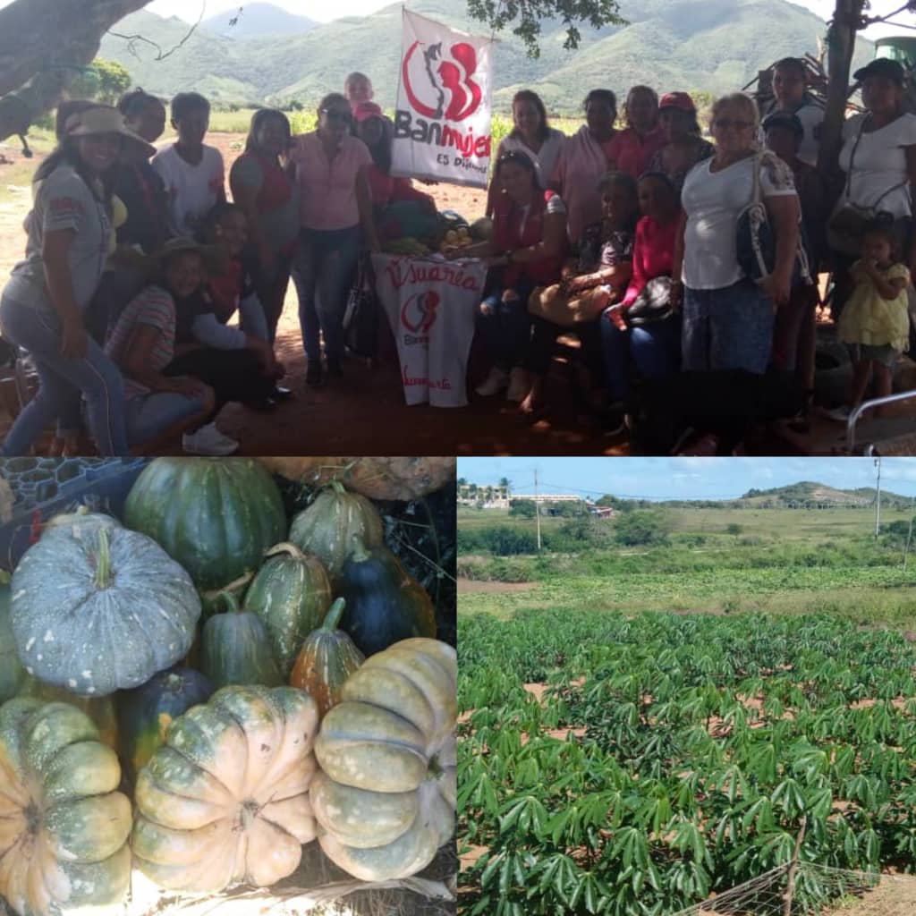 Alcalde David Caraballo continúa impulsando el plan Volvemos al Conuco ...