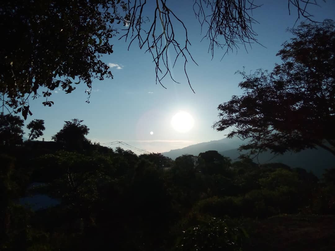 Campo Elías fija posición contra Israel frente a Palestina y la actitud ...