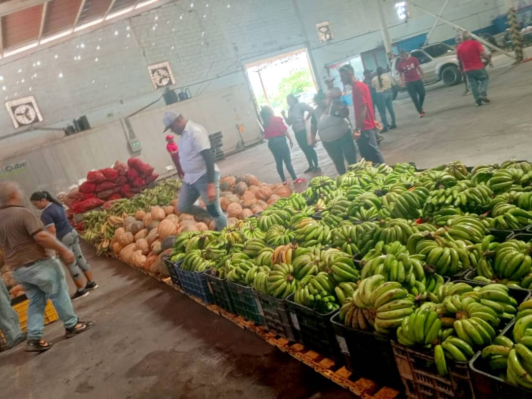 Zulia: Distribuyen más de 9 toneladas de frutas y verduras en los ...